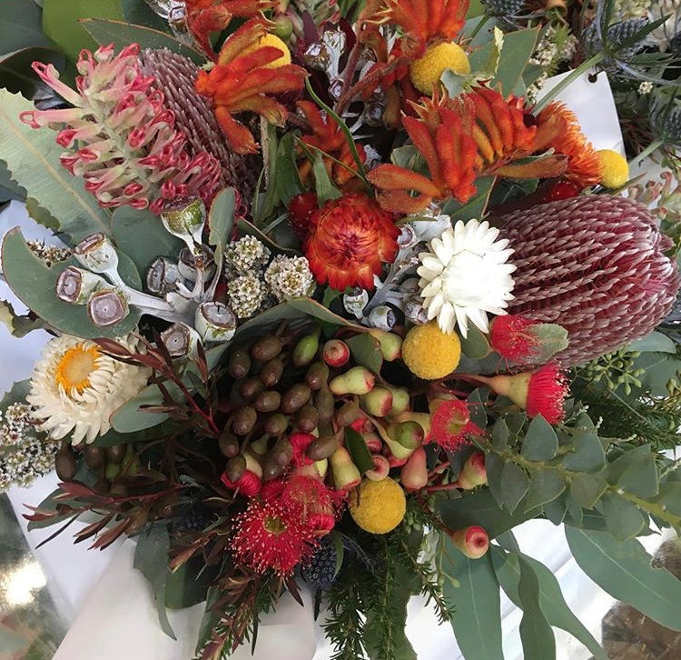 Gondwana – Flowers from The Garden